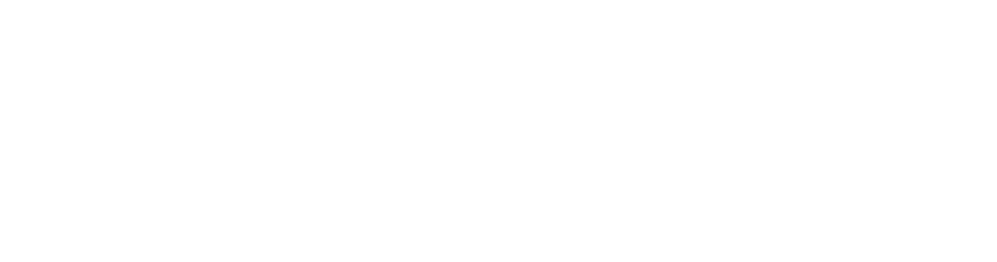 BNG Interactive Technologies - BNG